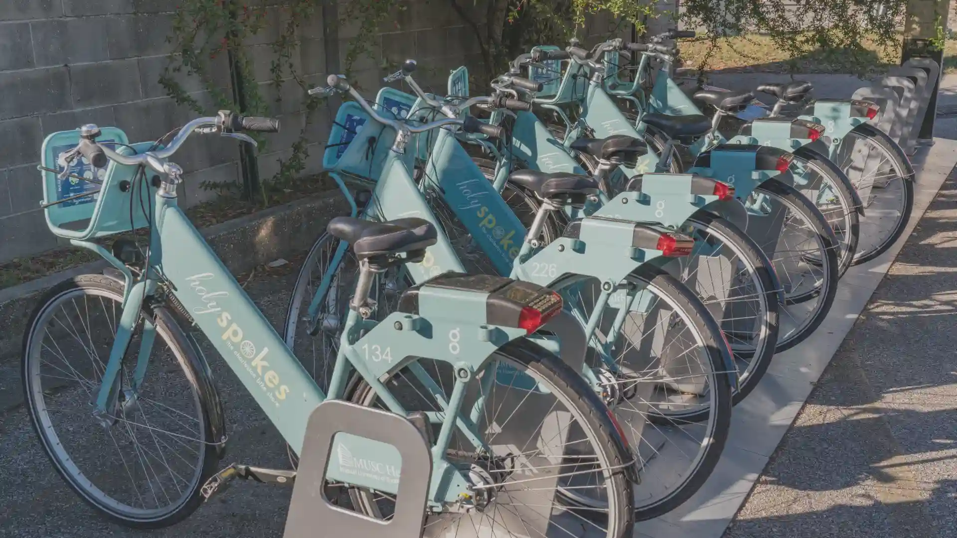 Why Are Bike Share Programs Becoming so Popular in Big Cities?